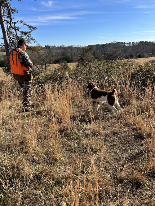 Hunter Information — PriestView Hunting Preserve
