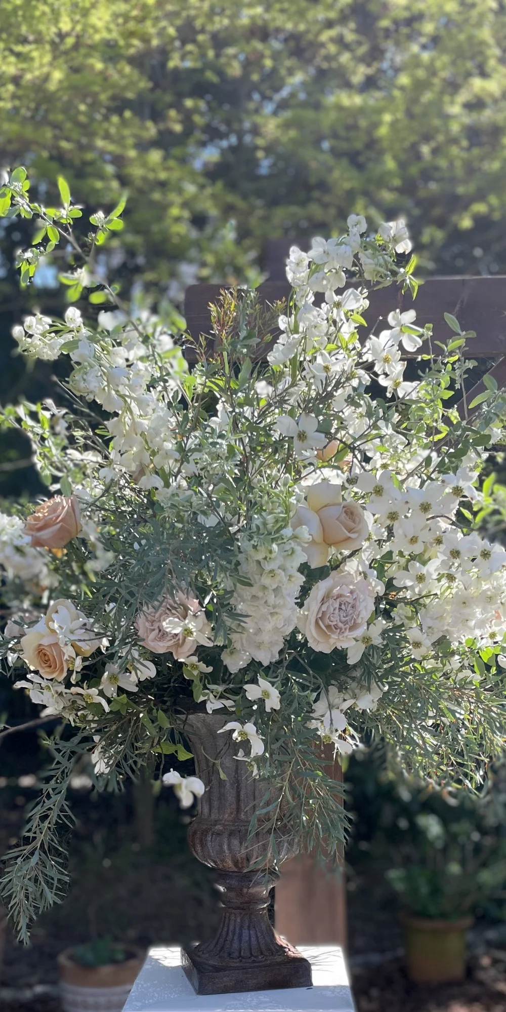 Dream Soup Flowers