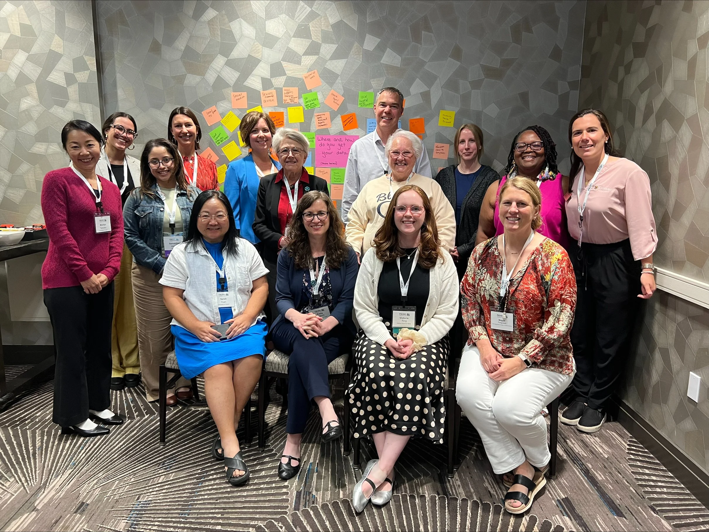 NCOA Selects 12 Organizations to Build State Falls Prevention ...