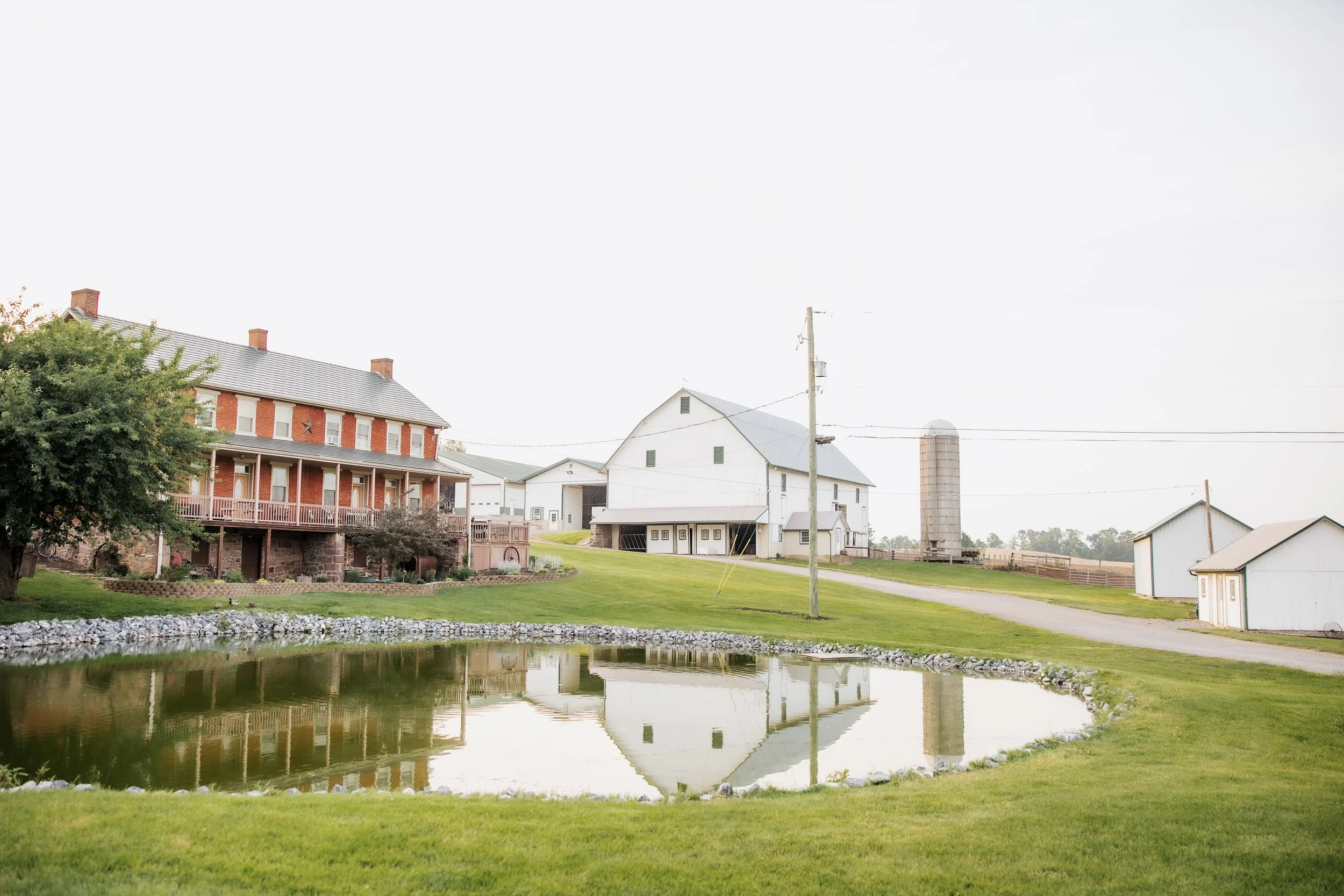 Weaver Family Farm's Beef | High-Quality Beef | Black & Red Angus ...