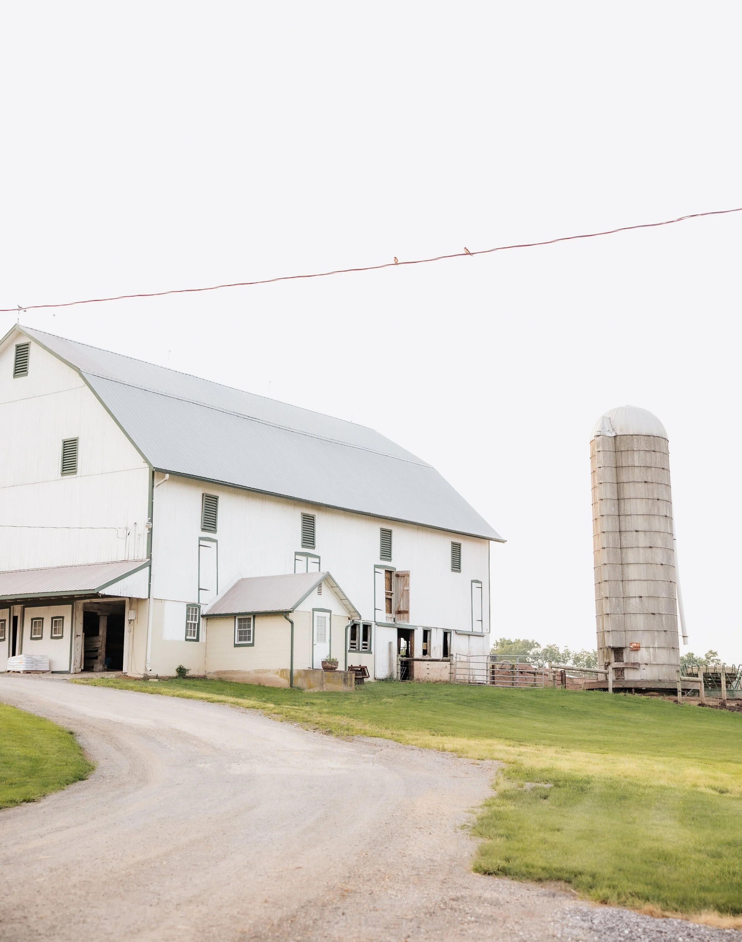 Weaver Family Farm's Beef | High-Quality Beef | Black & Red Angus ...