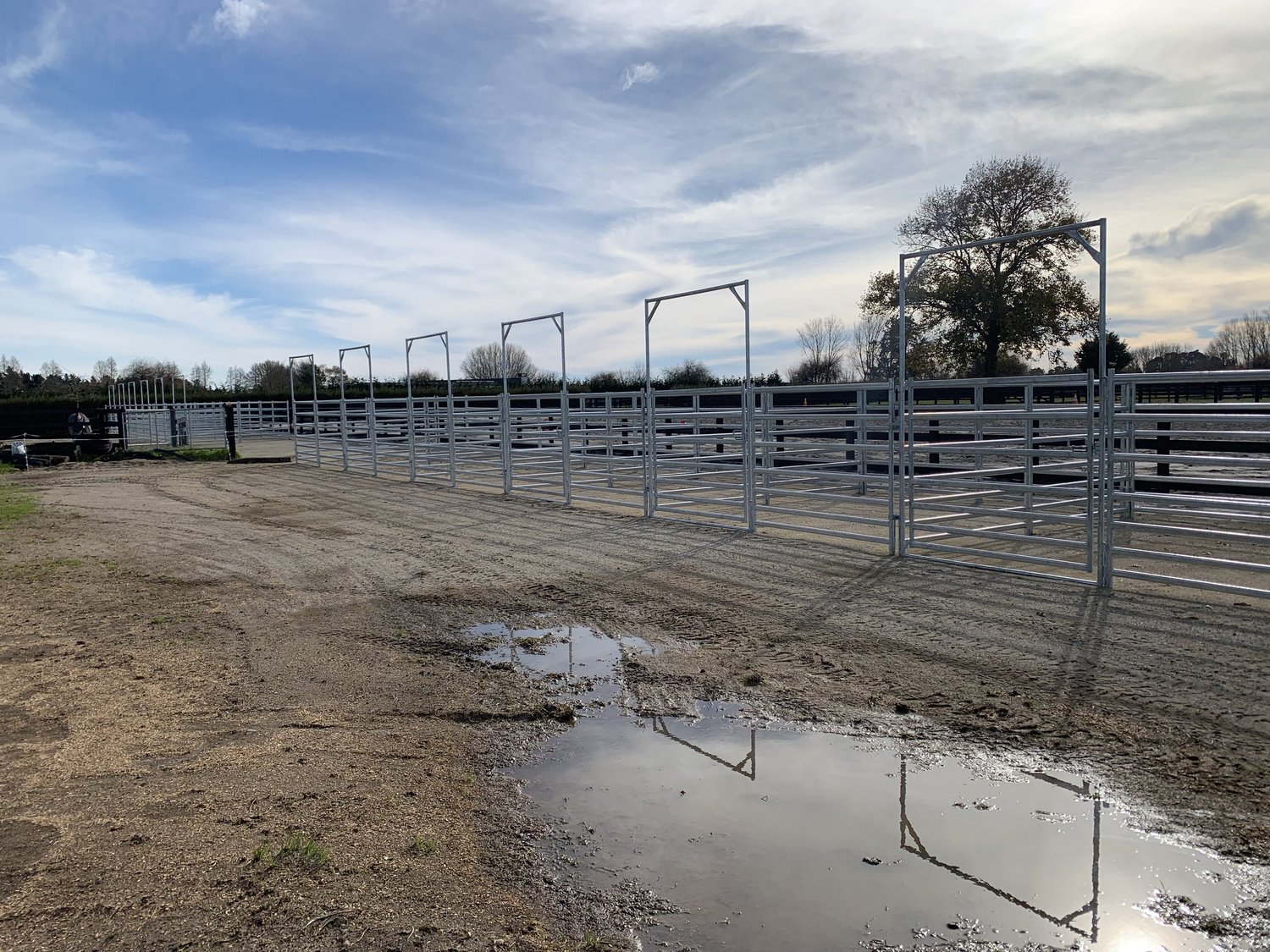 Horse Products: — Stronghold