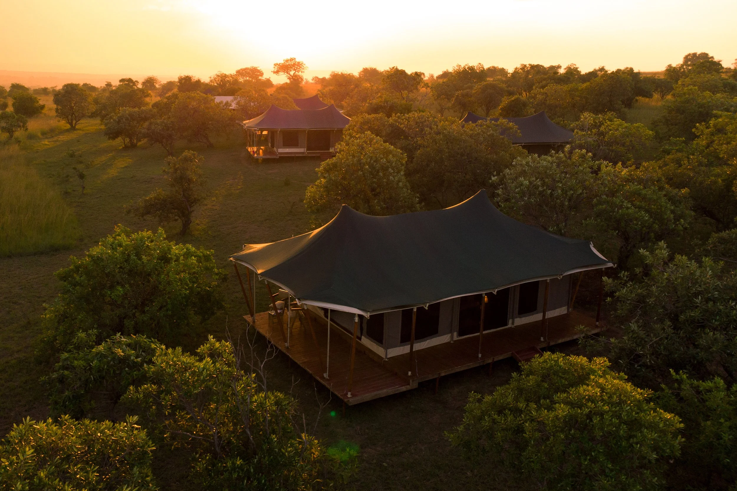 Moyo Tented Camp | Luxury Safari in the Serengeti, Tanzania