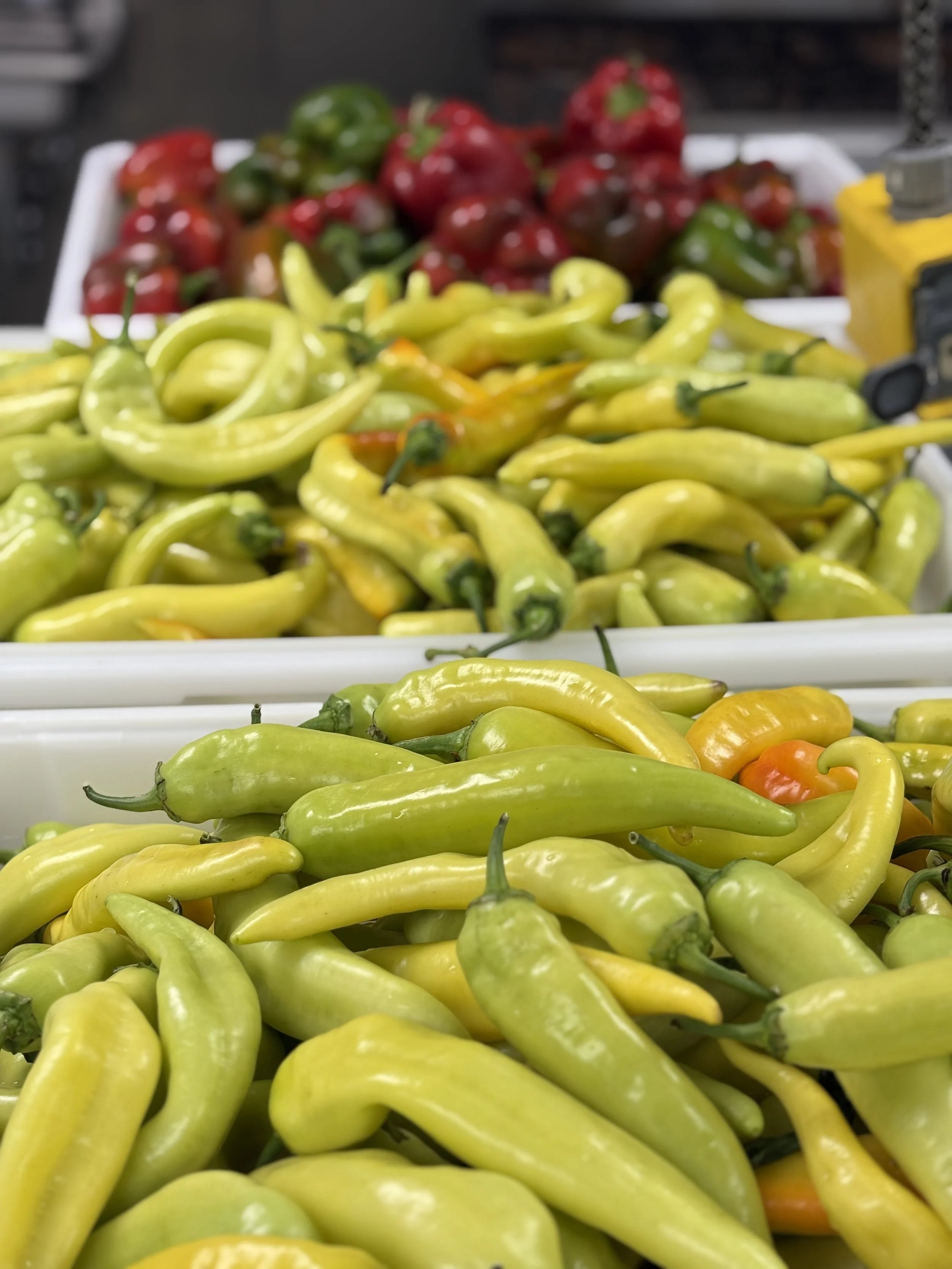 Pepper Relish - The Original Hungarian Way | Get Zingy