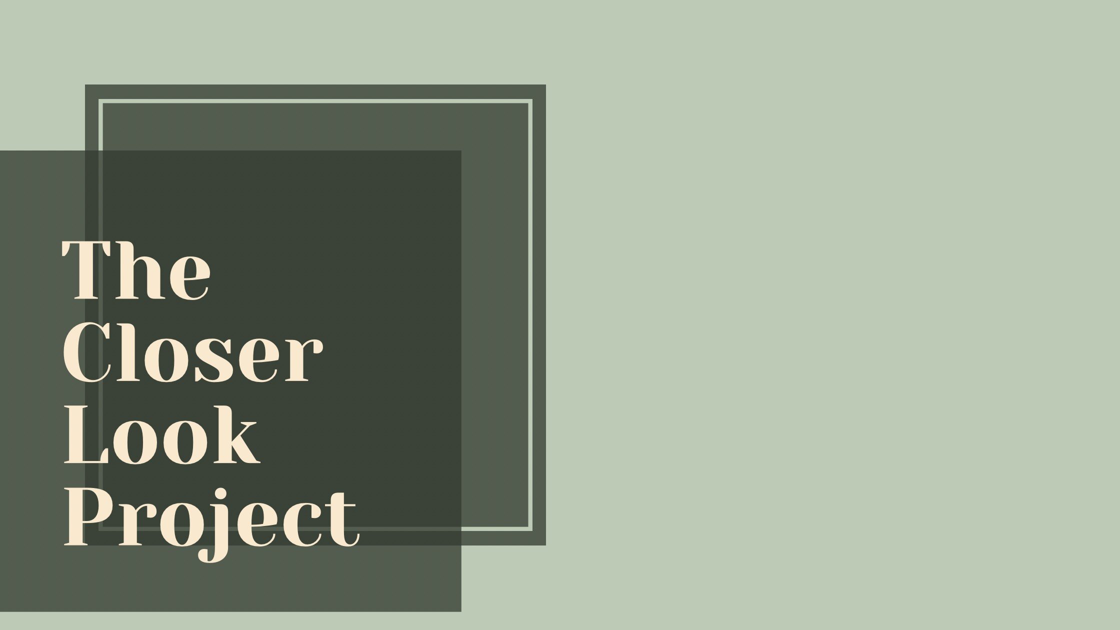 Contact | Get in Touch Today — The Closer Look Project