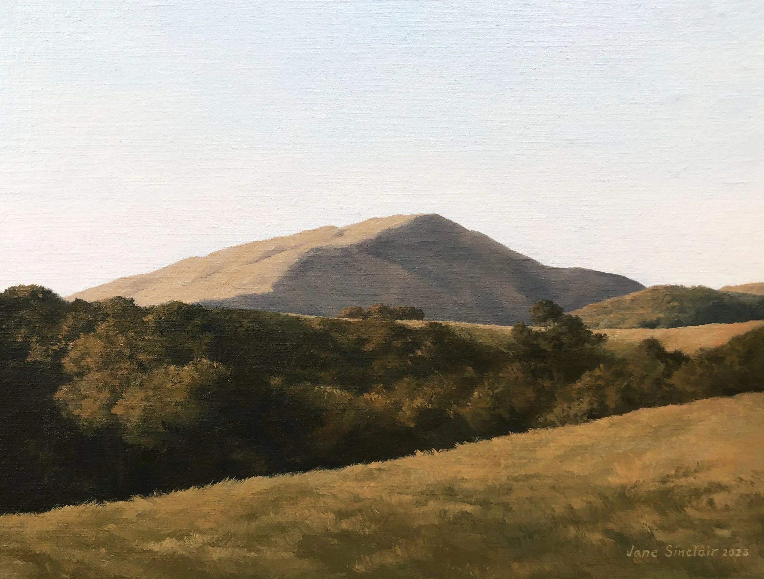 Jane Sinclair Art