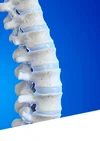 Spine Ortho