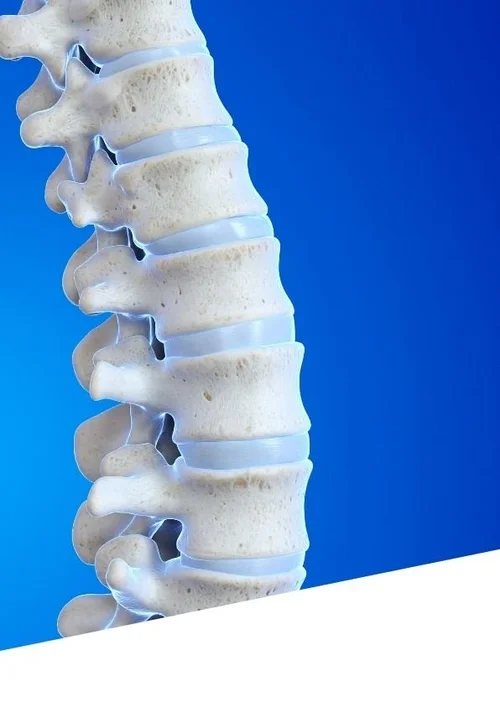 About — Spine Ortho