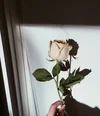 Why Chivalry Is Not Dead: The Sweet Gesture of Flower Gifting in Hong ...