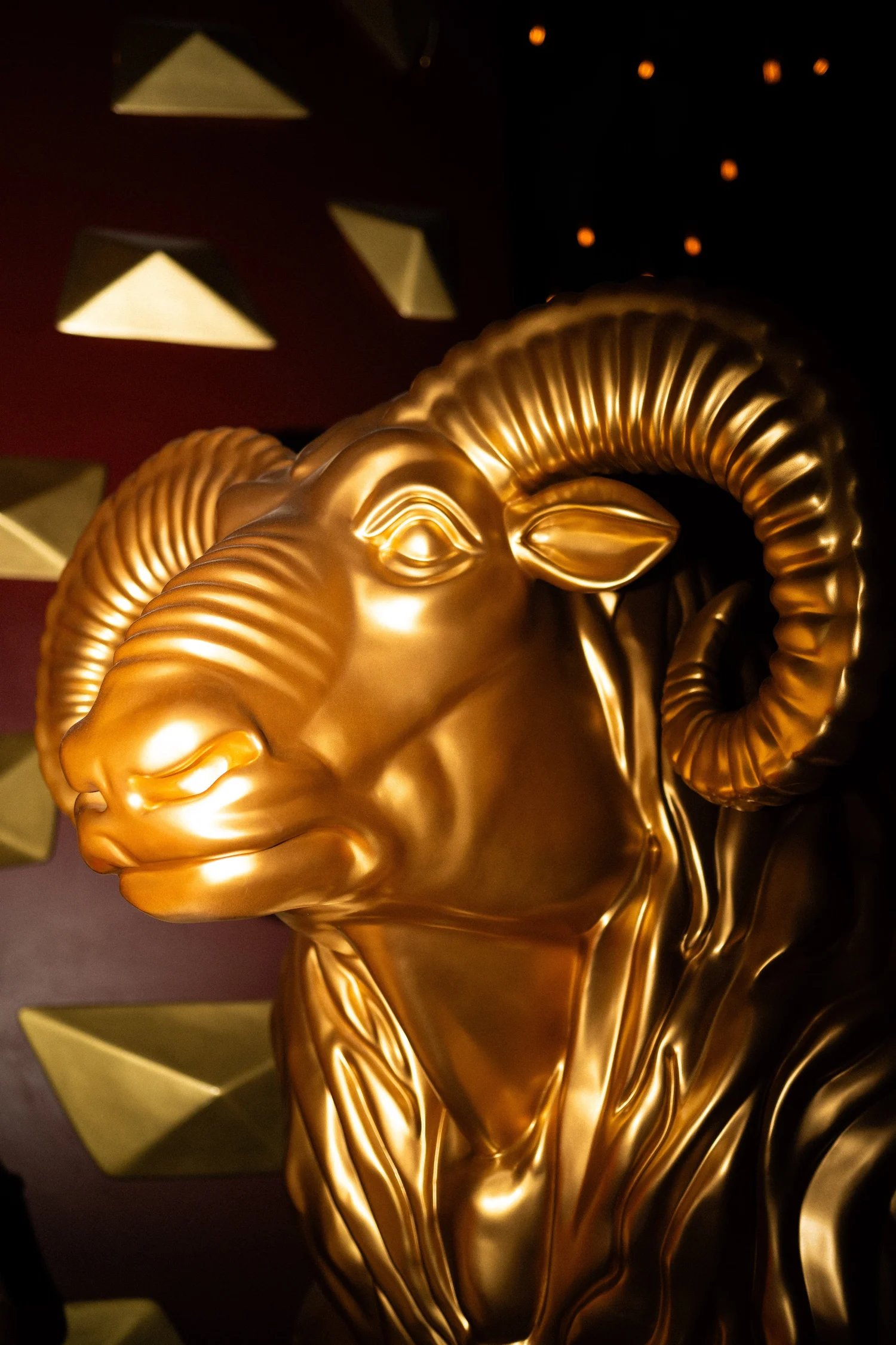 OCCO RESTAURANT | Experience Dubai's Finest - Book Your Table Now