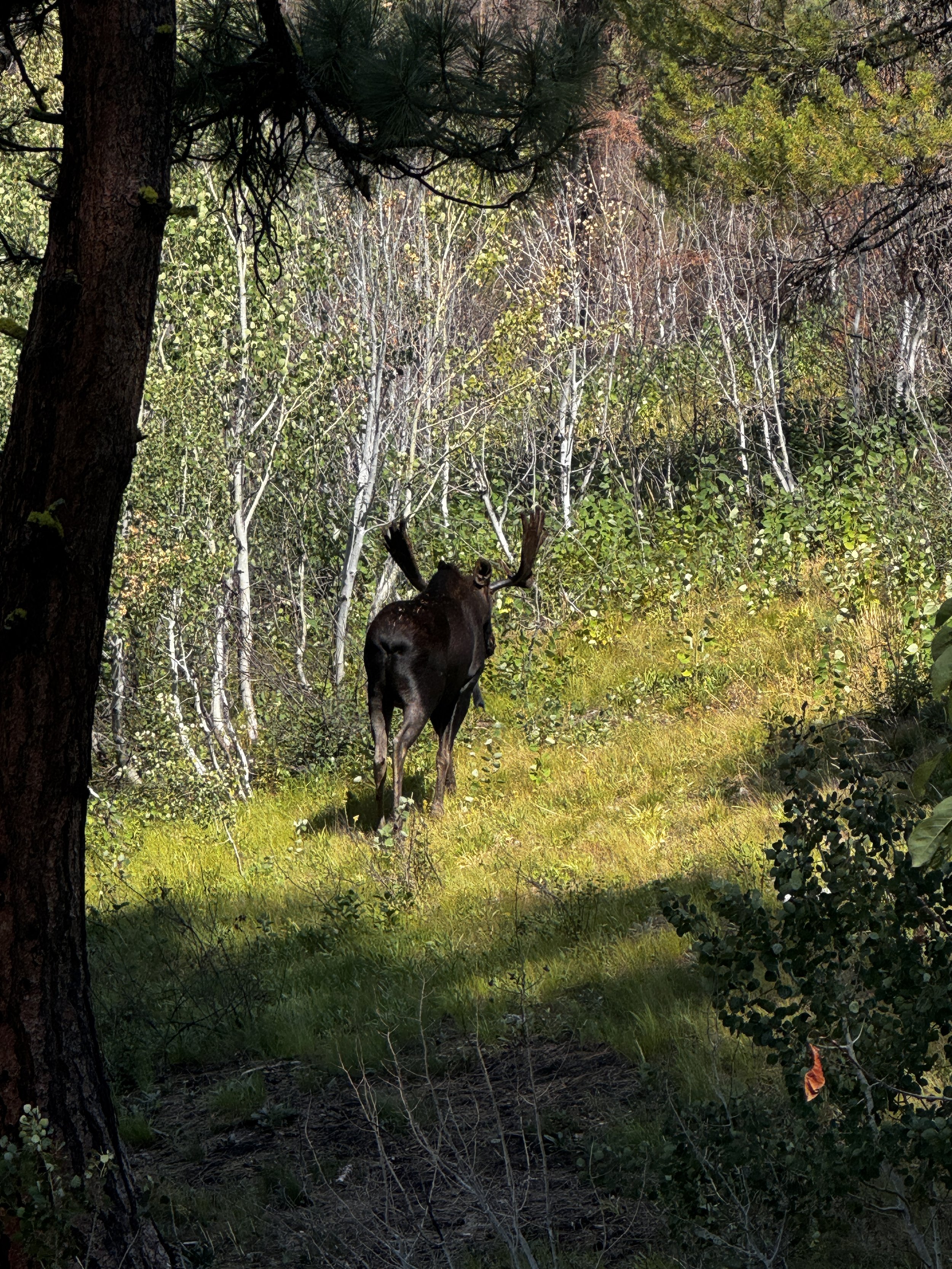 Hiking the Grand Sawtooth Loop - A Complete Guide — Trail Mixz