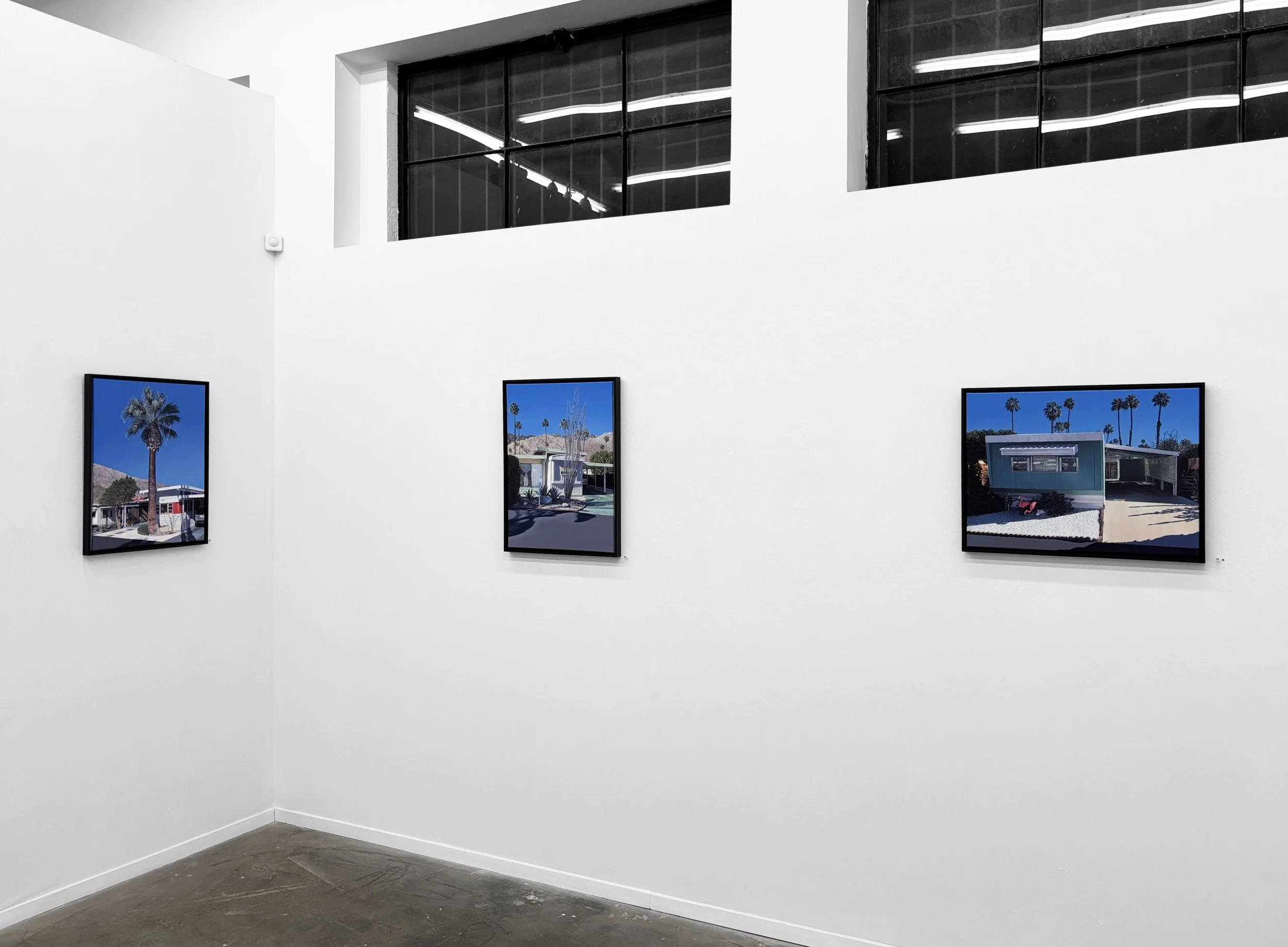 Terry Leness — BILLIS / WILLIAMS GALLERY