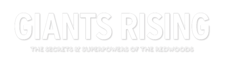 Giants Rising - Home