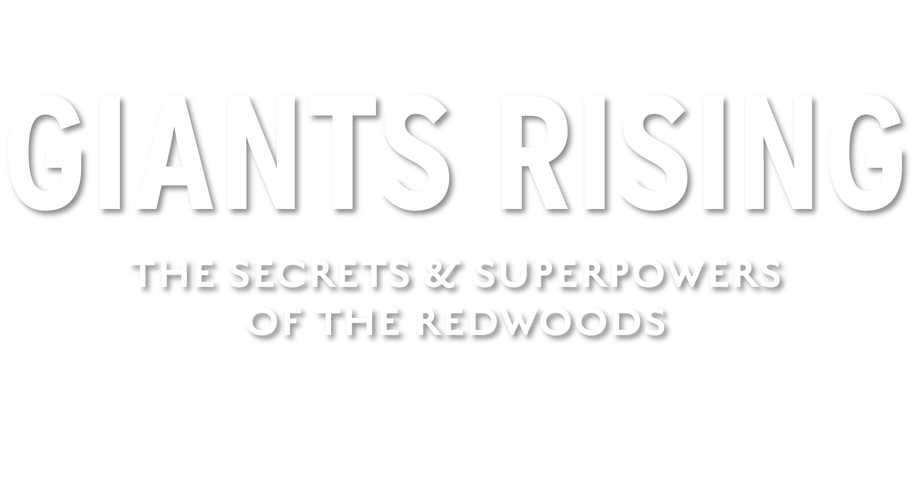 Giants Rising - Home