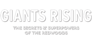 Giants Rising - Home