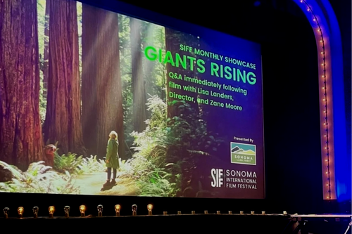 Giants Rising - Home