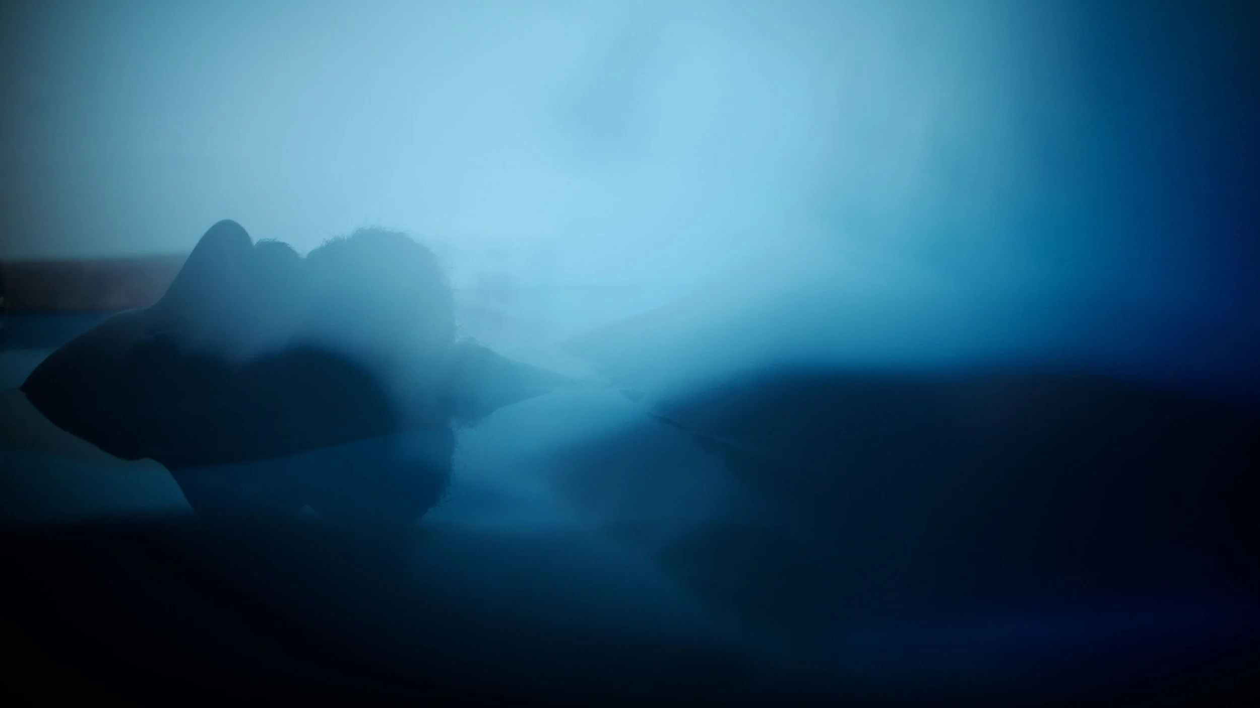 FLOAT | Seattle Float Therapy – Relax & Reset Your Nervous System