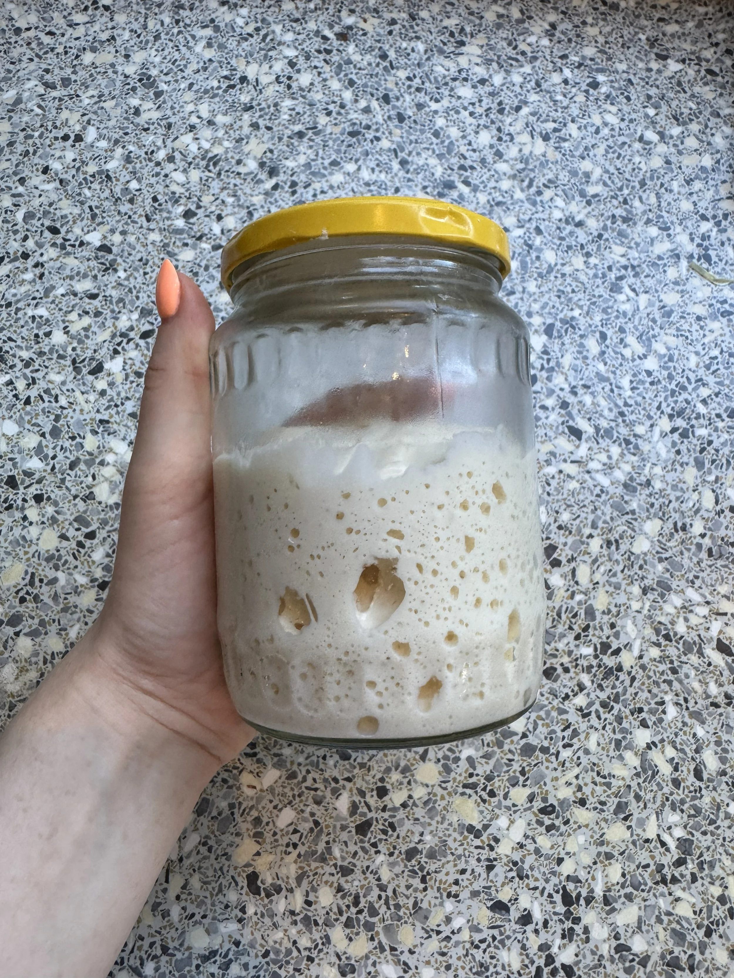 Sourdough Starter from Scratch — Alice Taylor Eats