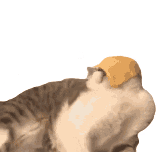 Trying To Find The Tape — What Is HIS Name?