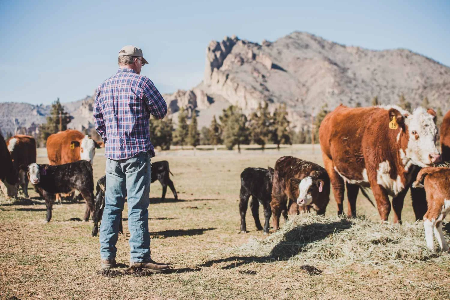 High Desert Food Trail — High Desert Food and Farm Alliance