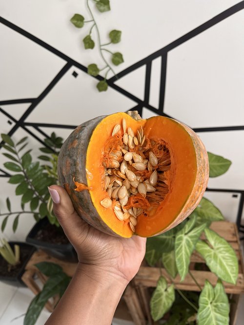 12 Easy Pumpkin Science Experiments for Preschool and Kindergarten (Fun ...