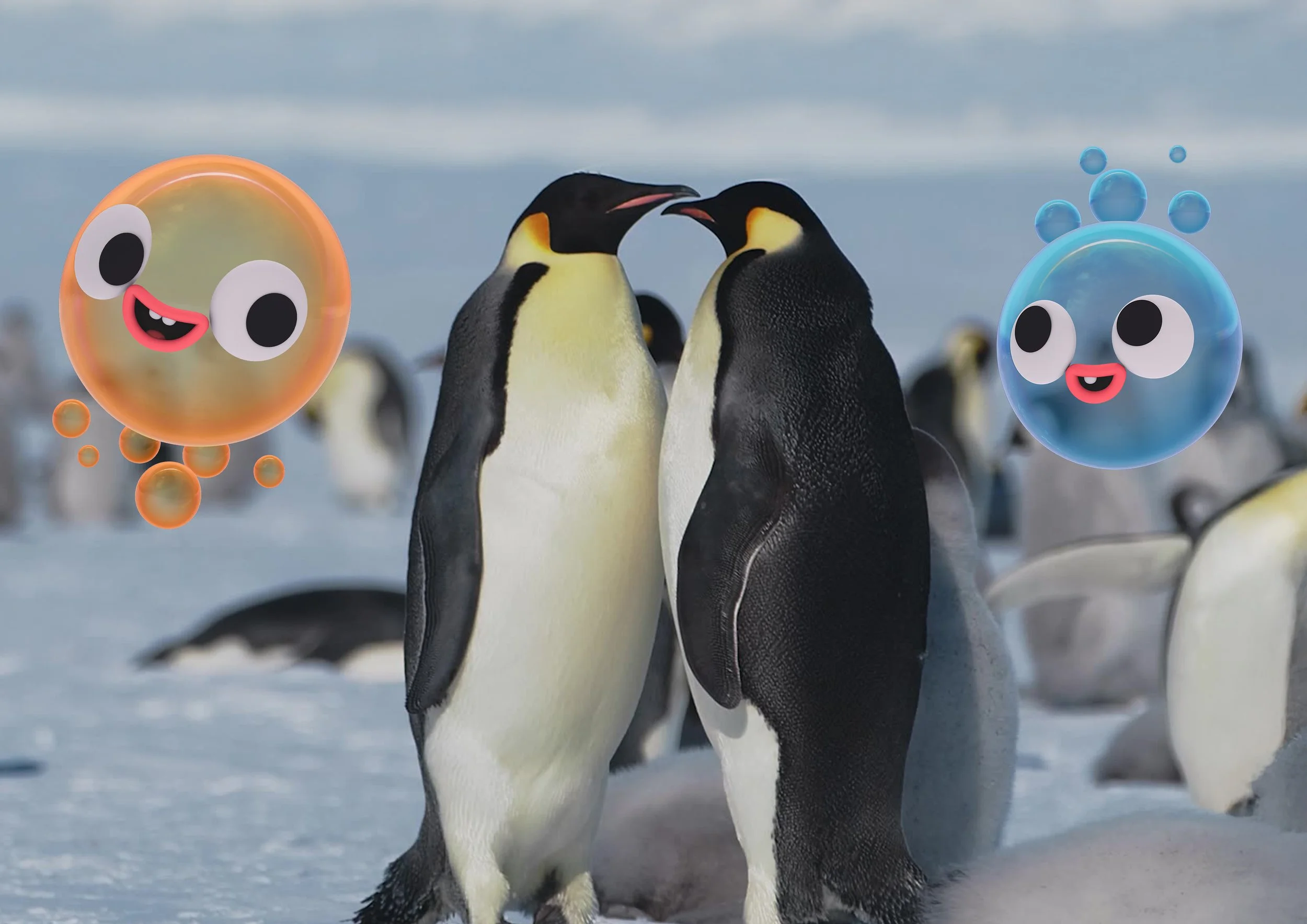 FIZZY AND SUDS | Discover Fun Adventures Today