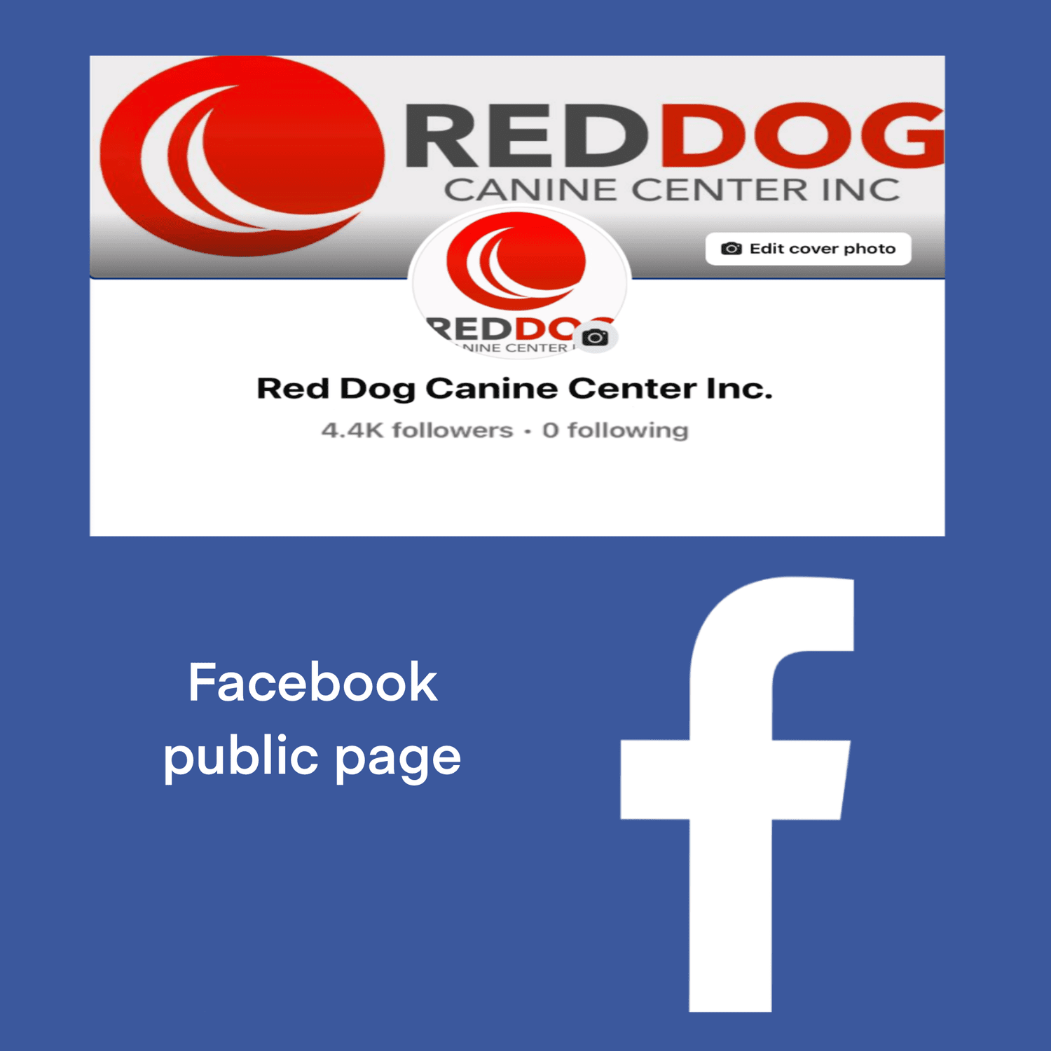Red Dog Canine Center Inc | Discover Premium Dog Care!