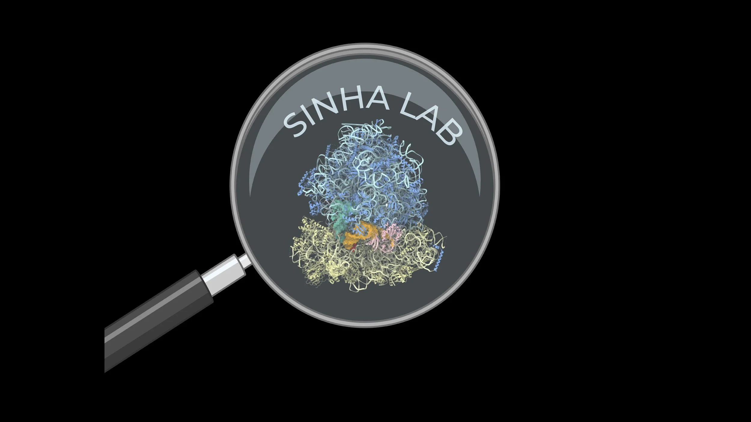 The Sinha Lab