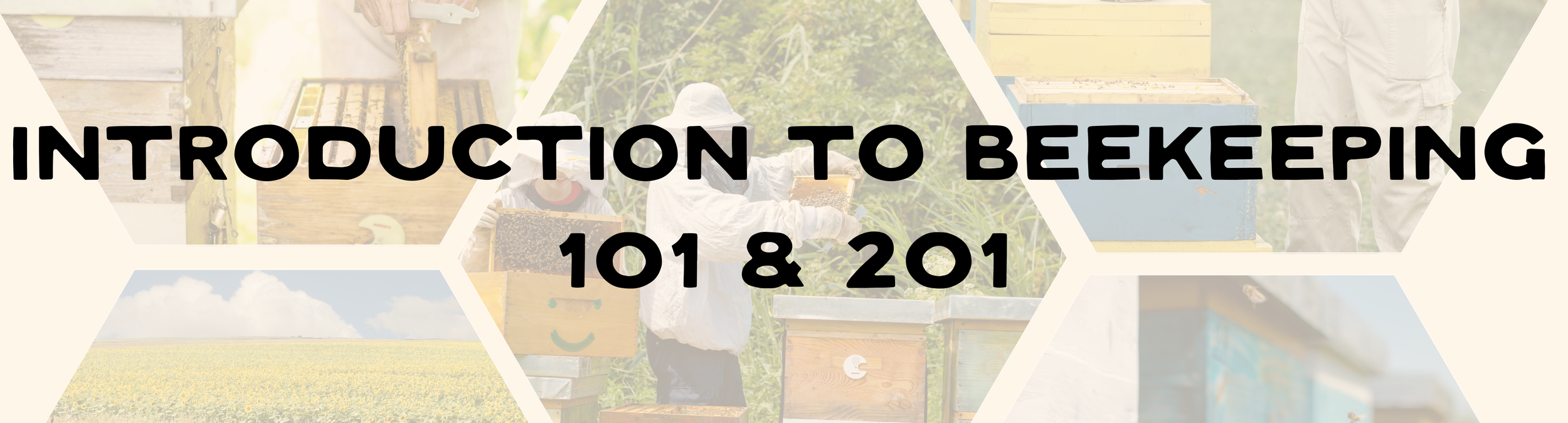 Beekeeping 101 & 201 | Start Beekeeping Today – Join Our Classes — Bees ...