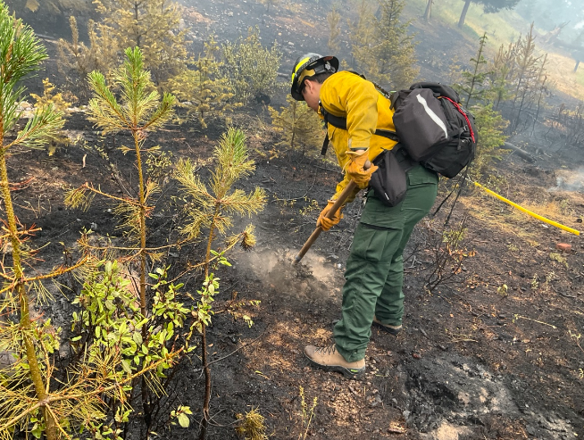 Services — Wildfire Defence Systems Canada (Copy)