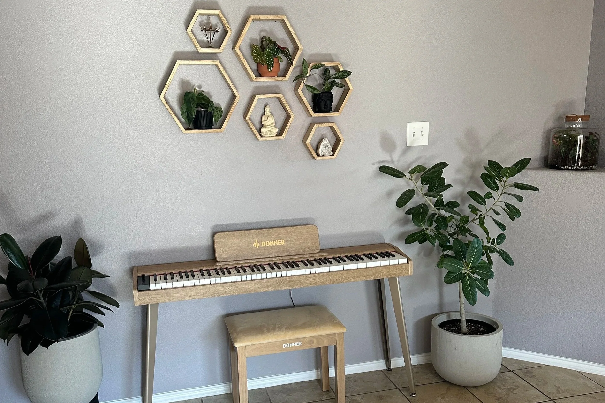 Plant Design & Styling in Fort Worth | Lauren & Plants — LAUREN AND PLANTS