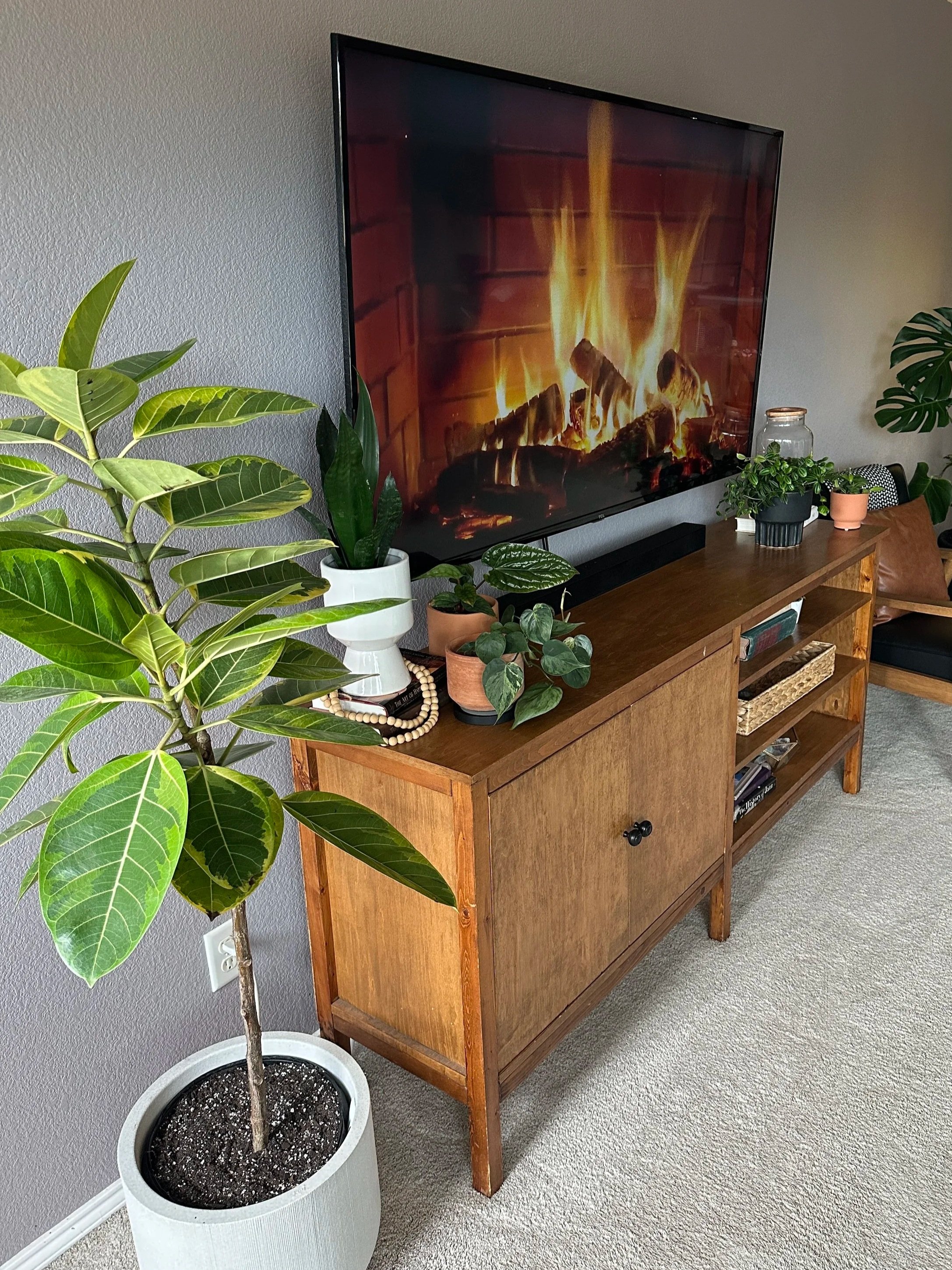 Plant Design & Styling in Fort Worth | Lauren & Plants — LAUREN AND PLANTS
