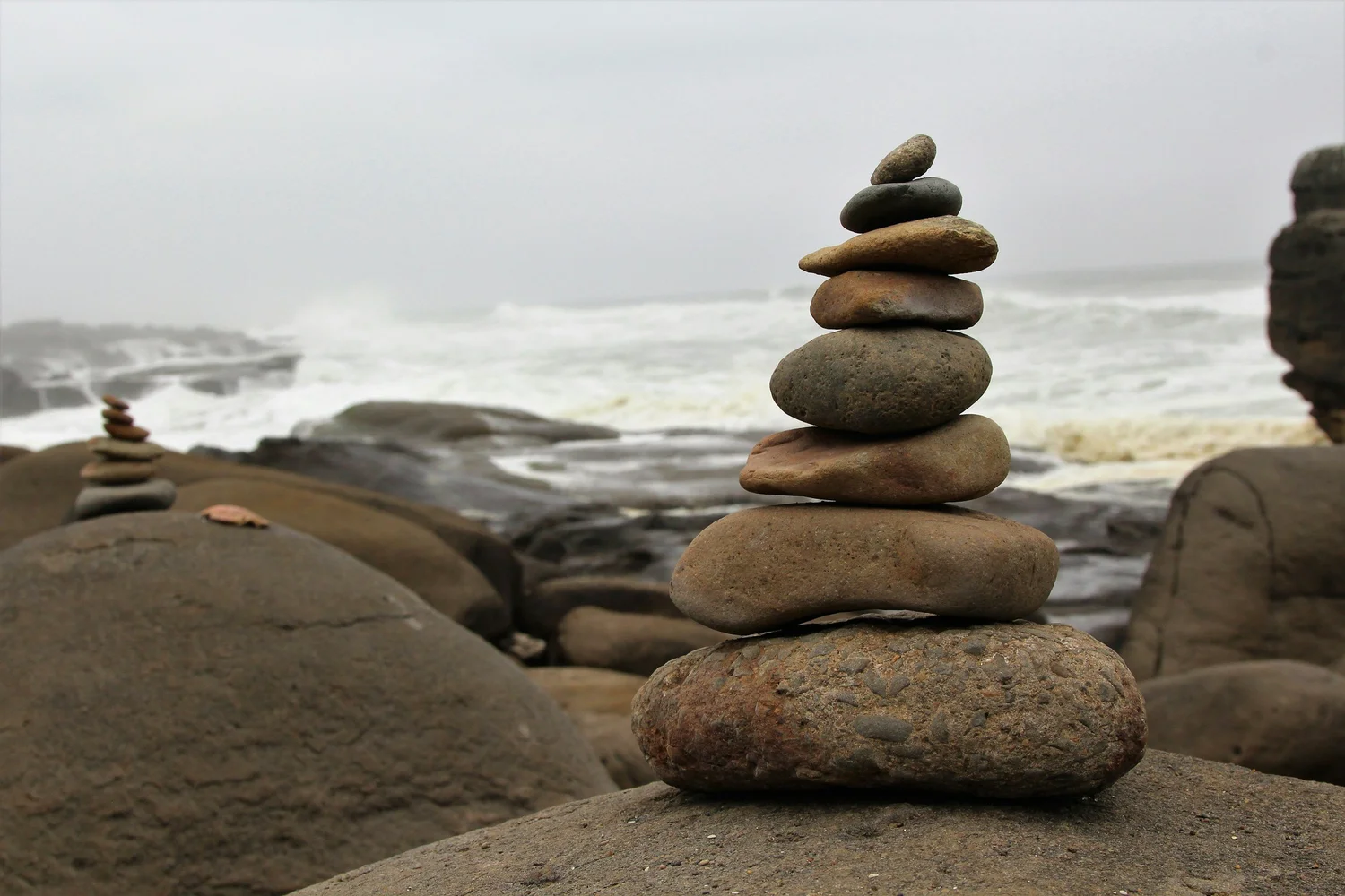 Root Cause Wellness