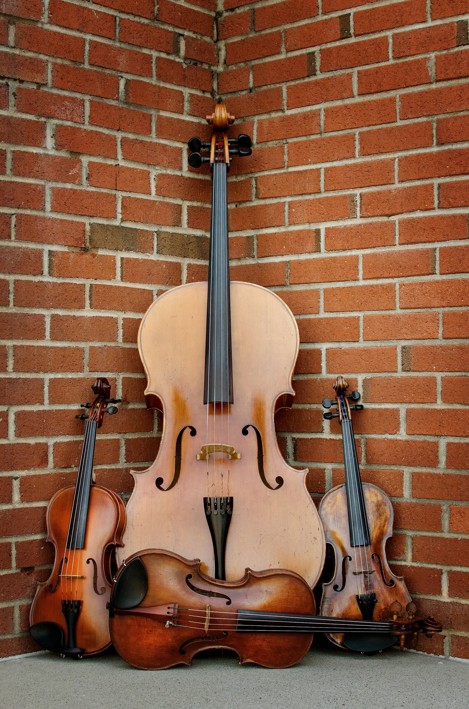 CAROLINA ROYAL STRINGS Charlotte's Premier String Ensemble Wedding and ...