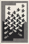 Sky and Water I Explained: Where Birds Become Fish — EscherExplained.com