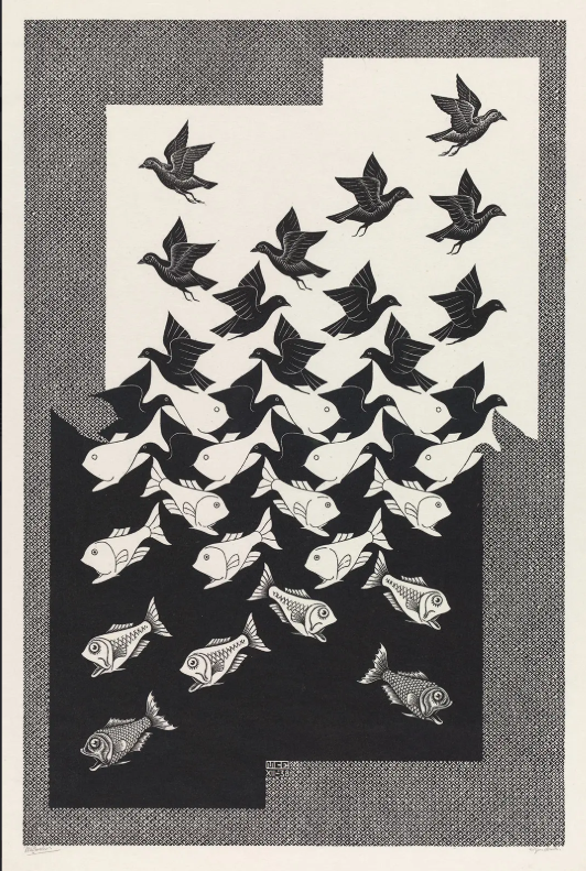 Sky and Water I Explained: Where Birds Become Fish — EscherExplained.com