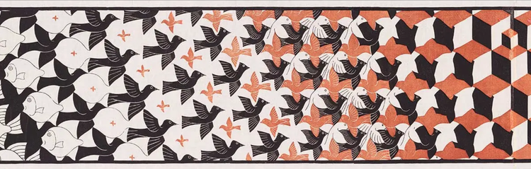 Escher Tessellations Explained: How Shapes Tile Perfectly ...
