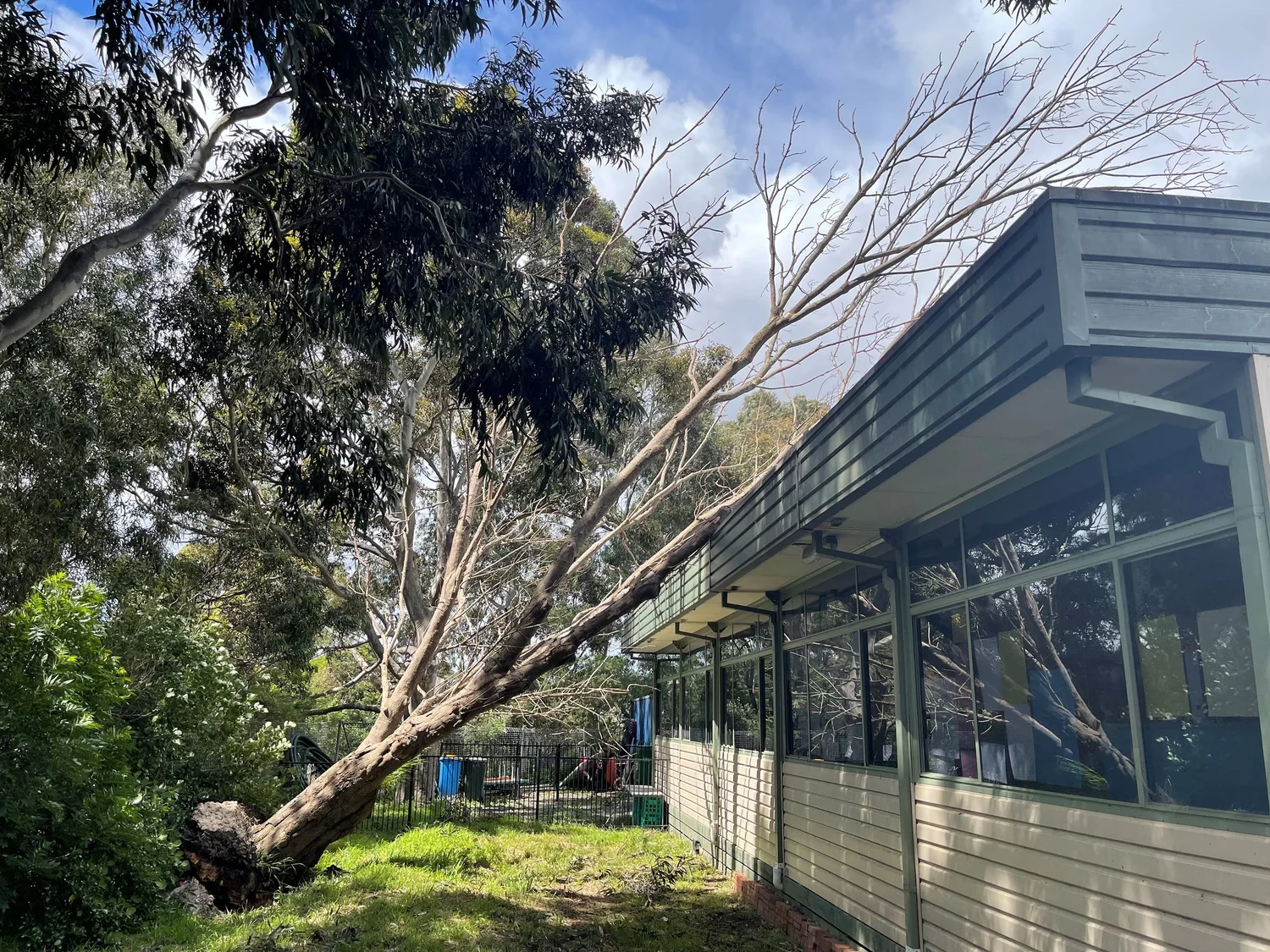 Arborist Reports Melbourne | Tree Assessment, Arborologist Reports ...