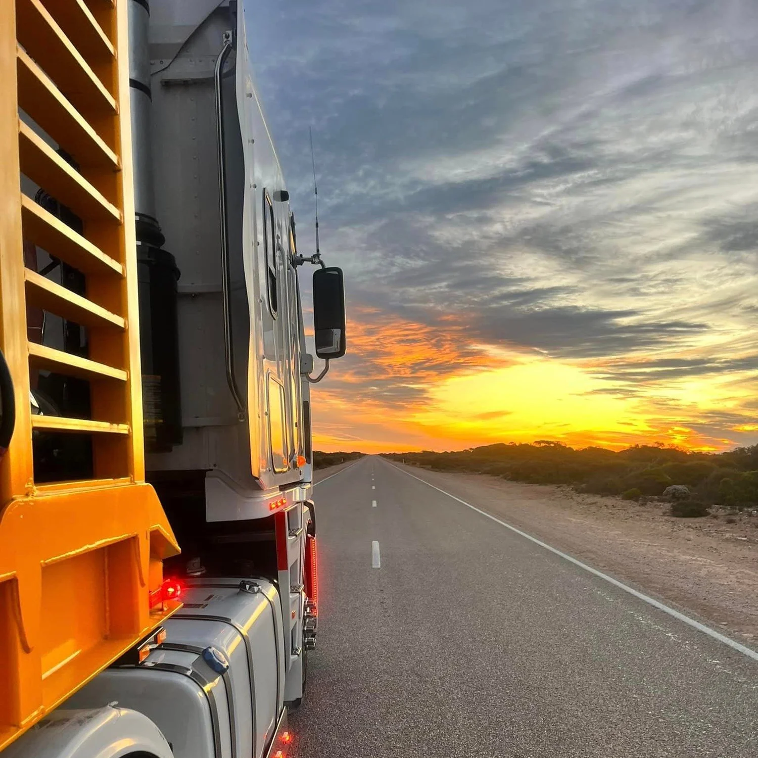 LAYLOW TRANSPORT