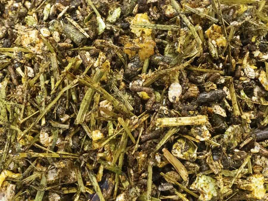 Beef Cattle Feed — I’Anson Quality Feeds