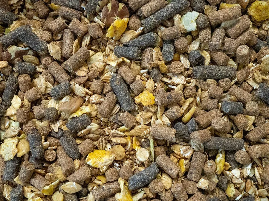 Sheep and Lamb Feed — I’Anson Quality Feeds