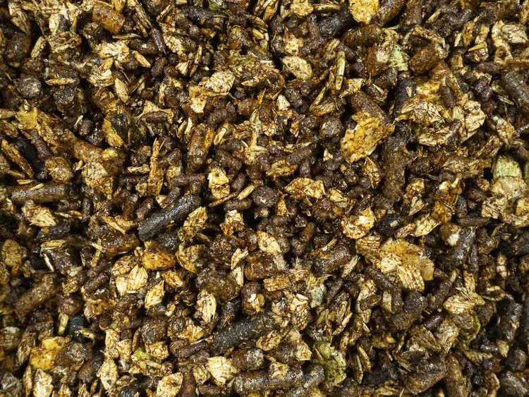 Sheep and Lamb Feed — I’Anson Quality Feeds