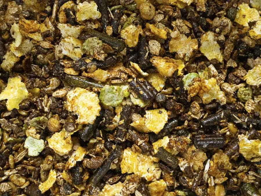 Beef Cattle Feed — I’Anson Quality Feeds