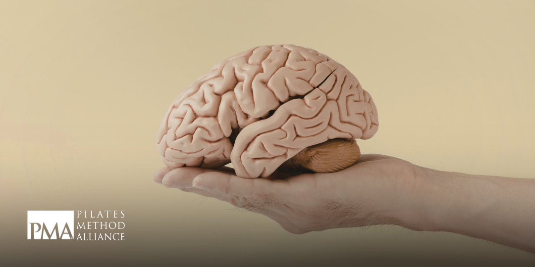 Your Brain Is Running Your Posture Session… Whether You Know It Or Not ...