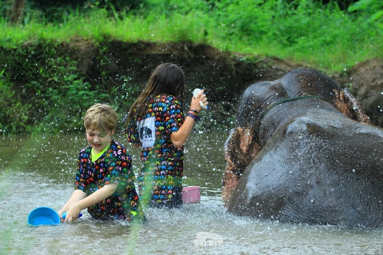 Kanta Elephant Sanctuary - Full day program