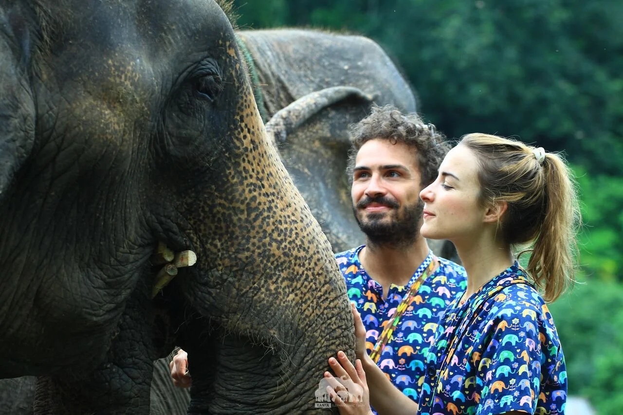 Elephant Sanctuary Chiang Mai | Ethical Elephant Tours – PM Tours