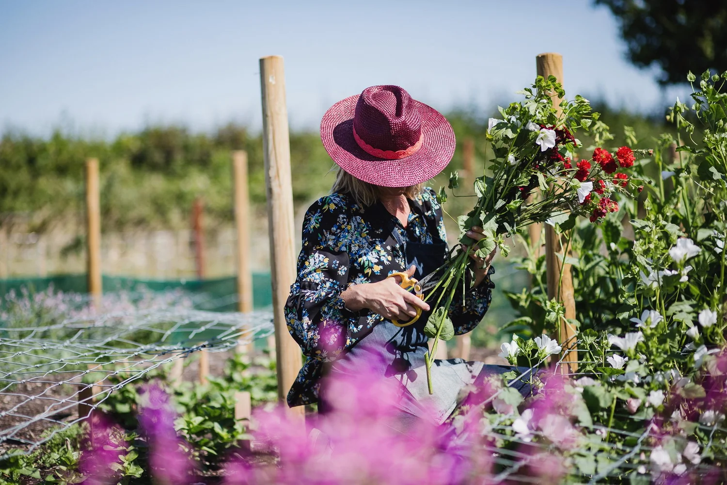 Chippy Flower Farm | Explore & Bloom Today