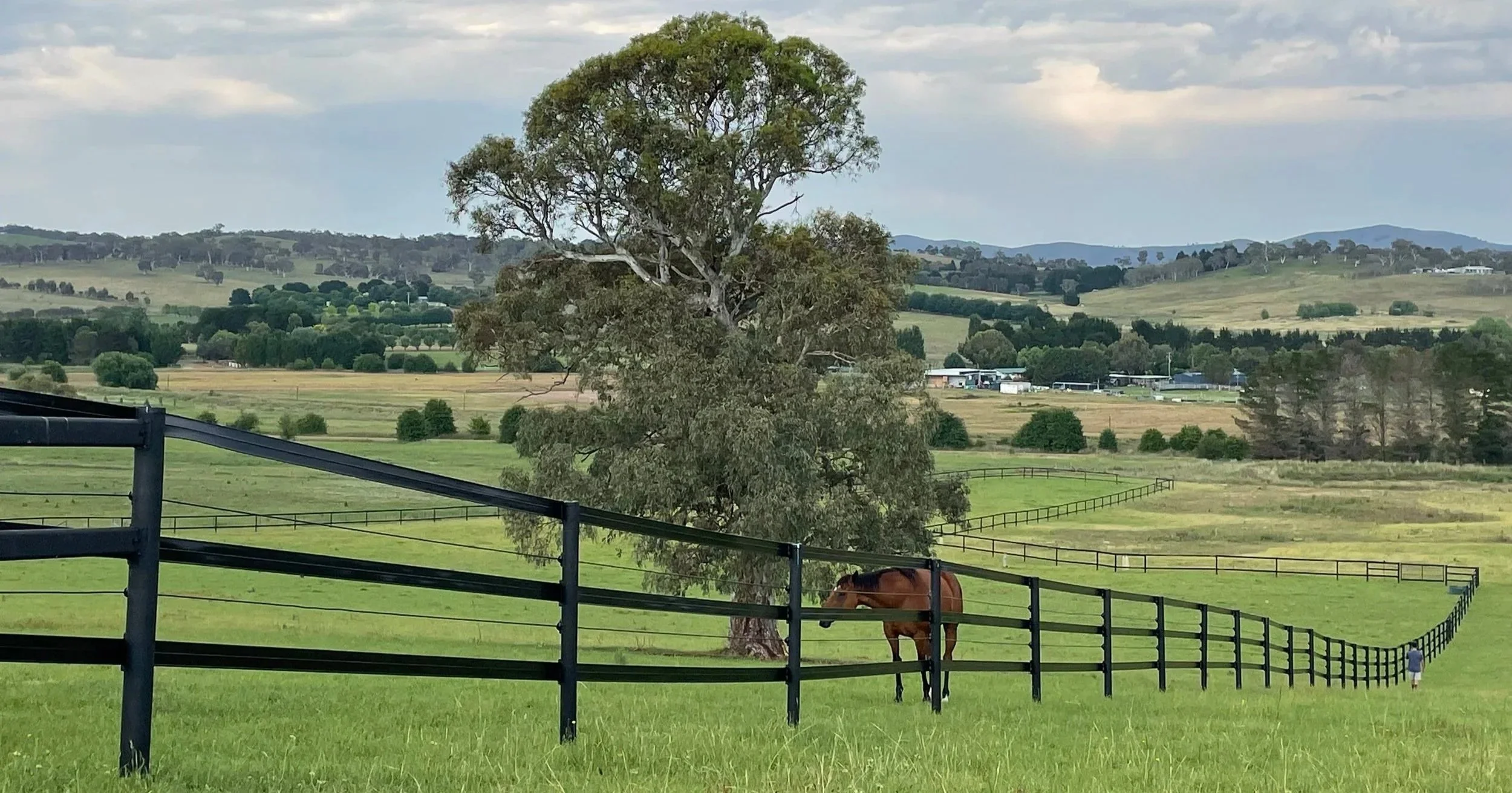 Belridge | Experience Thoughtful Equine Care – Enquire Today