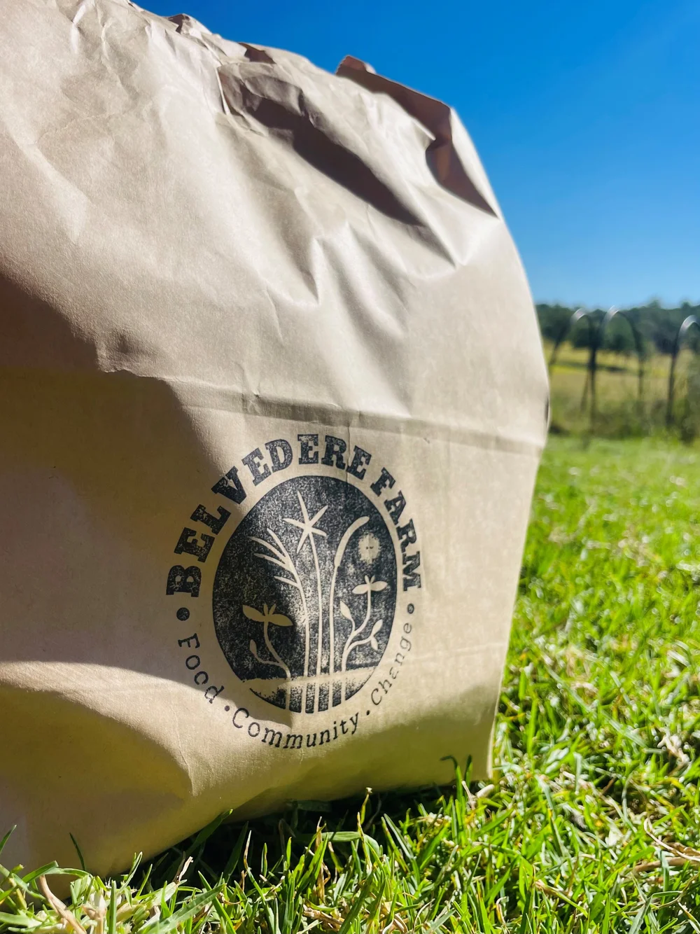 Belvedere Farm | Local, Ethical, Regenerative Food