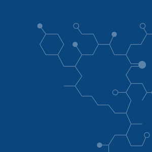 Touchcore Solutions Inc